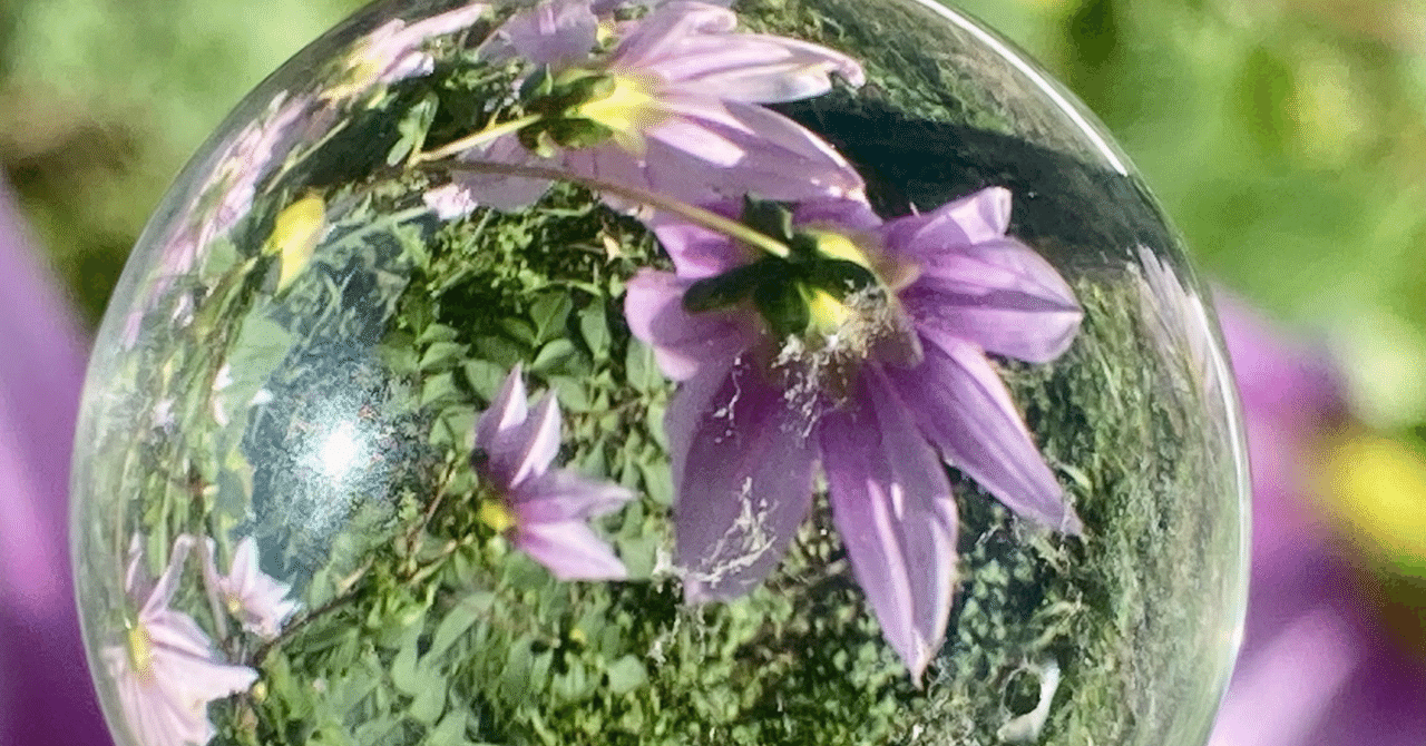 ”誰と”人生を歩むか｜Miyamoto Daichi