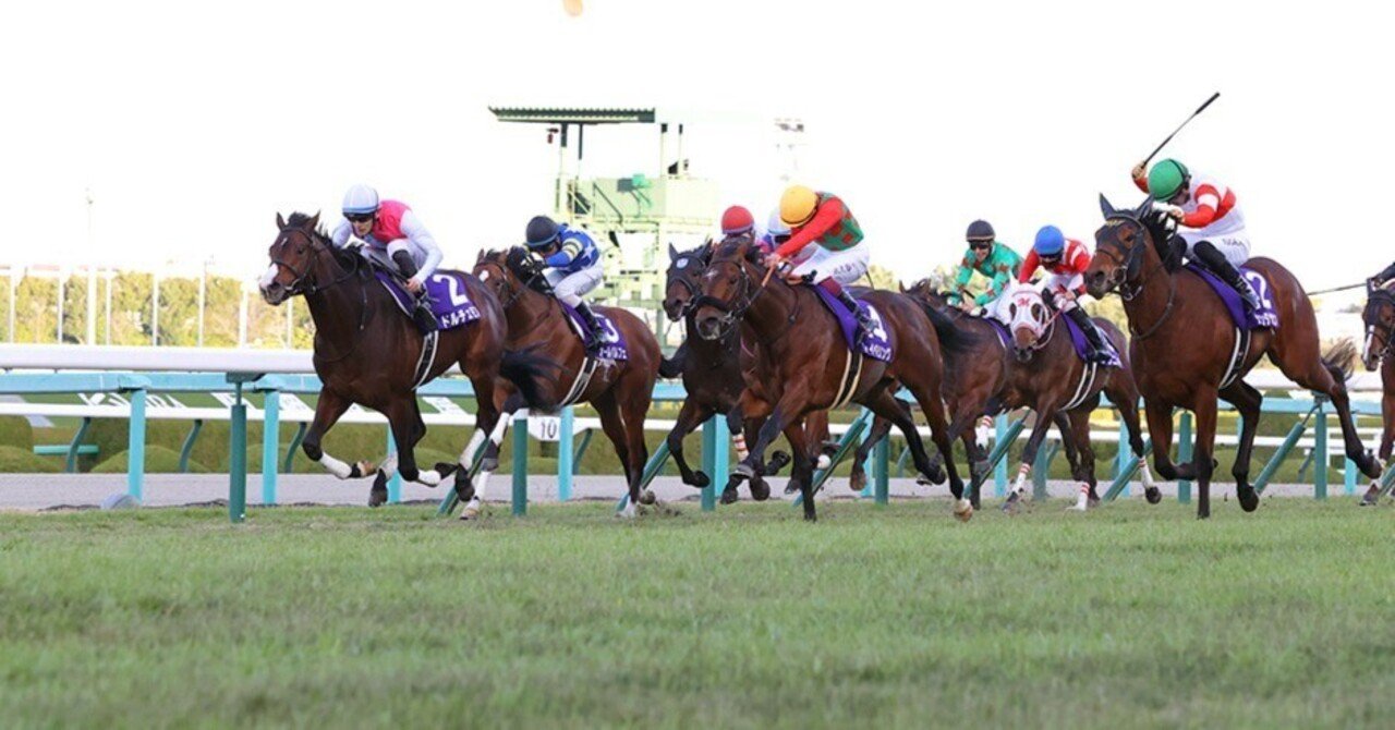 【2023 朝日杯フューチュリティS（G1）】徹底的に攻略データ篇｜Haya