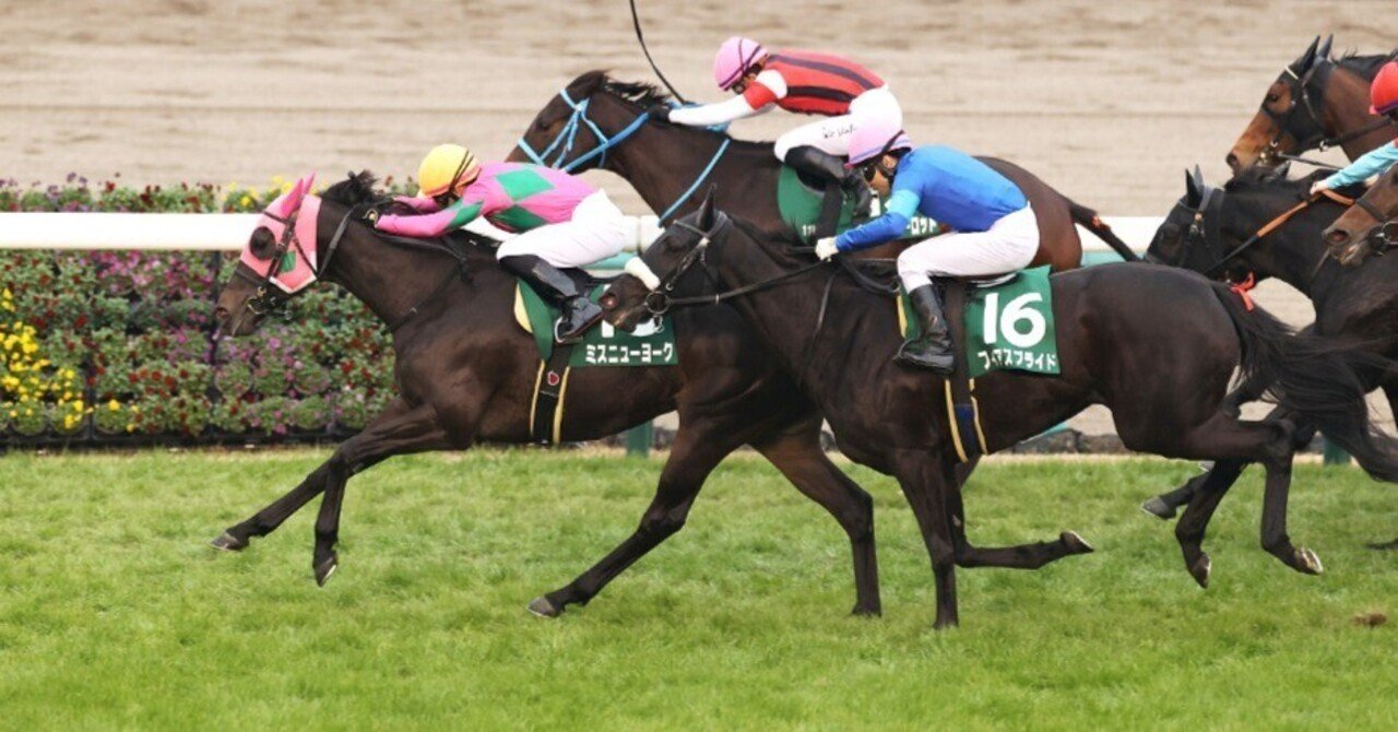 【2023 ターコイズS（G3）】徹底的に攻略データ篇｜Haya