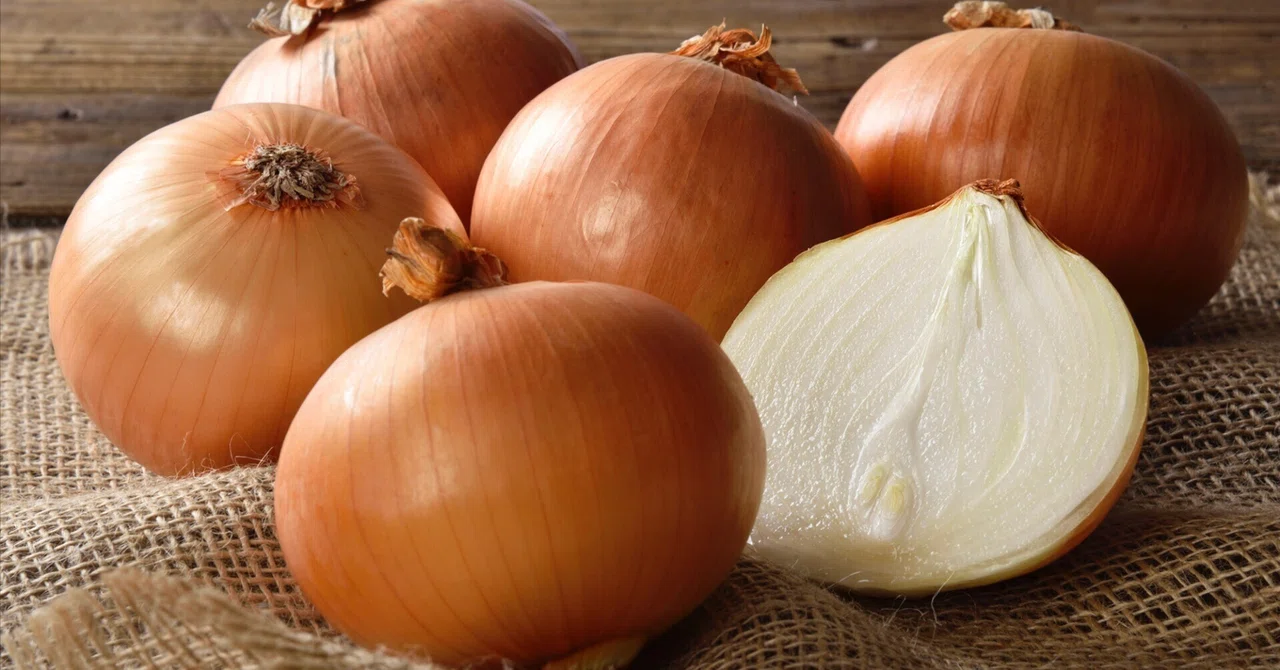 Onions! Those Incredible Vegetables! Benefits for health as well as ...