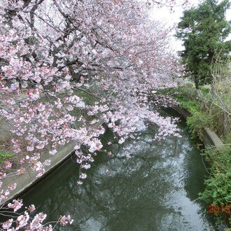 masayoshi kano｜note