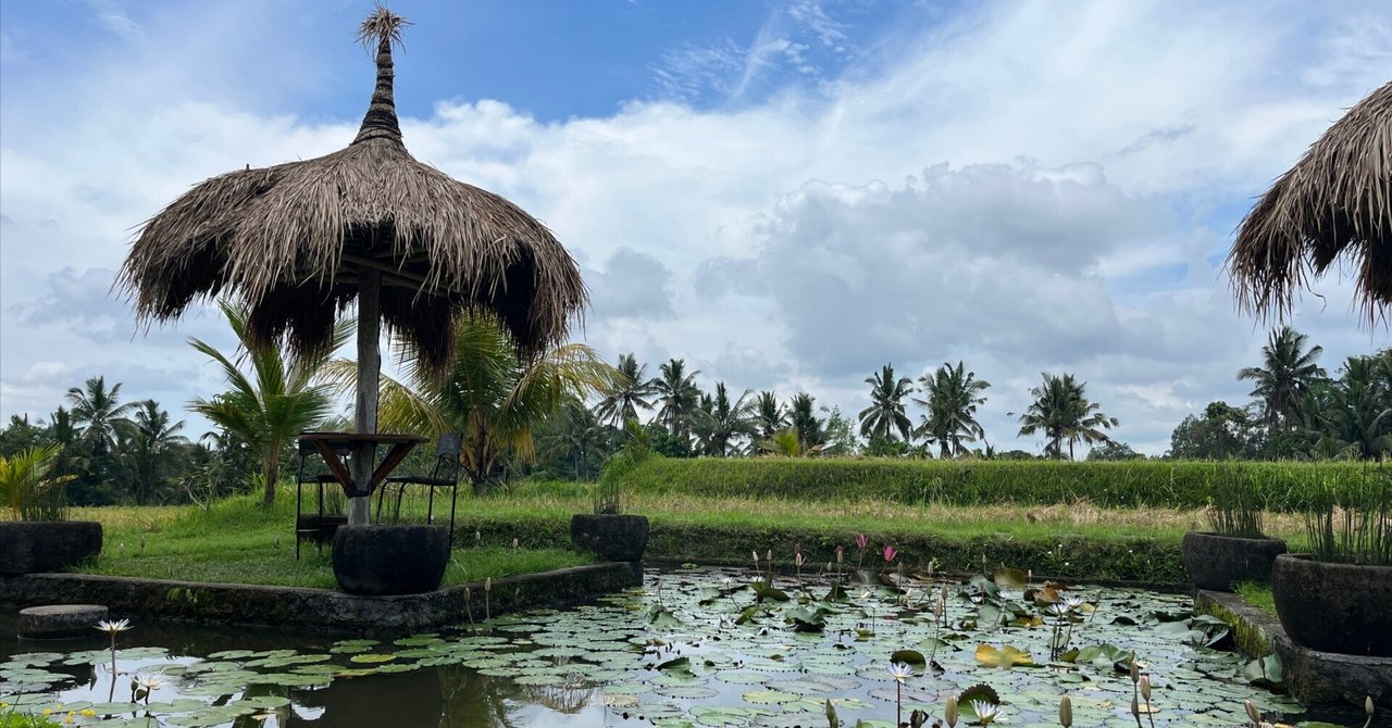 awai Sou / 佐藤 草｜note