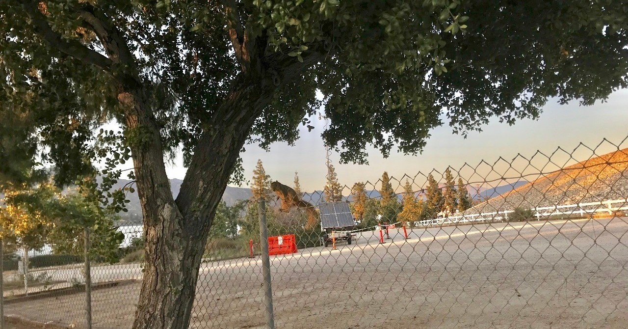 Day 81｜Kanta Kurata