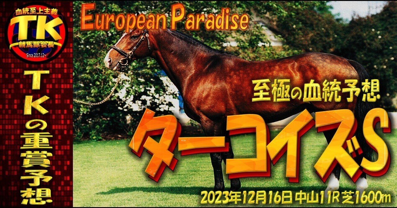 📘 至極の血統予想ターコイズsgⅢ編 Tkの重賞予想（厳選推奨馬付き） 20231216（土） ｜tk🏇競馬部会長‎【血統至上主義】