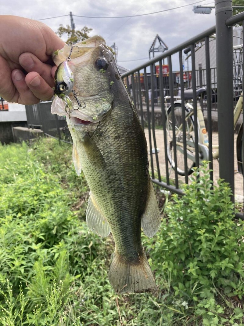 10月〜11月｜ryota_many