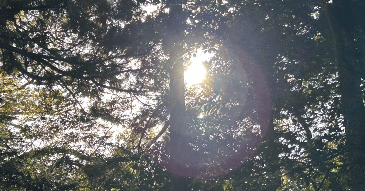 シニアSAMURAI｜note