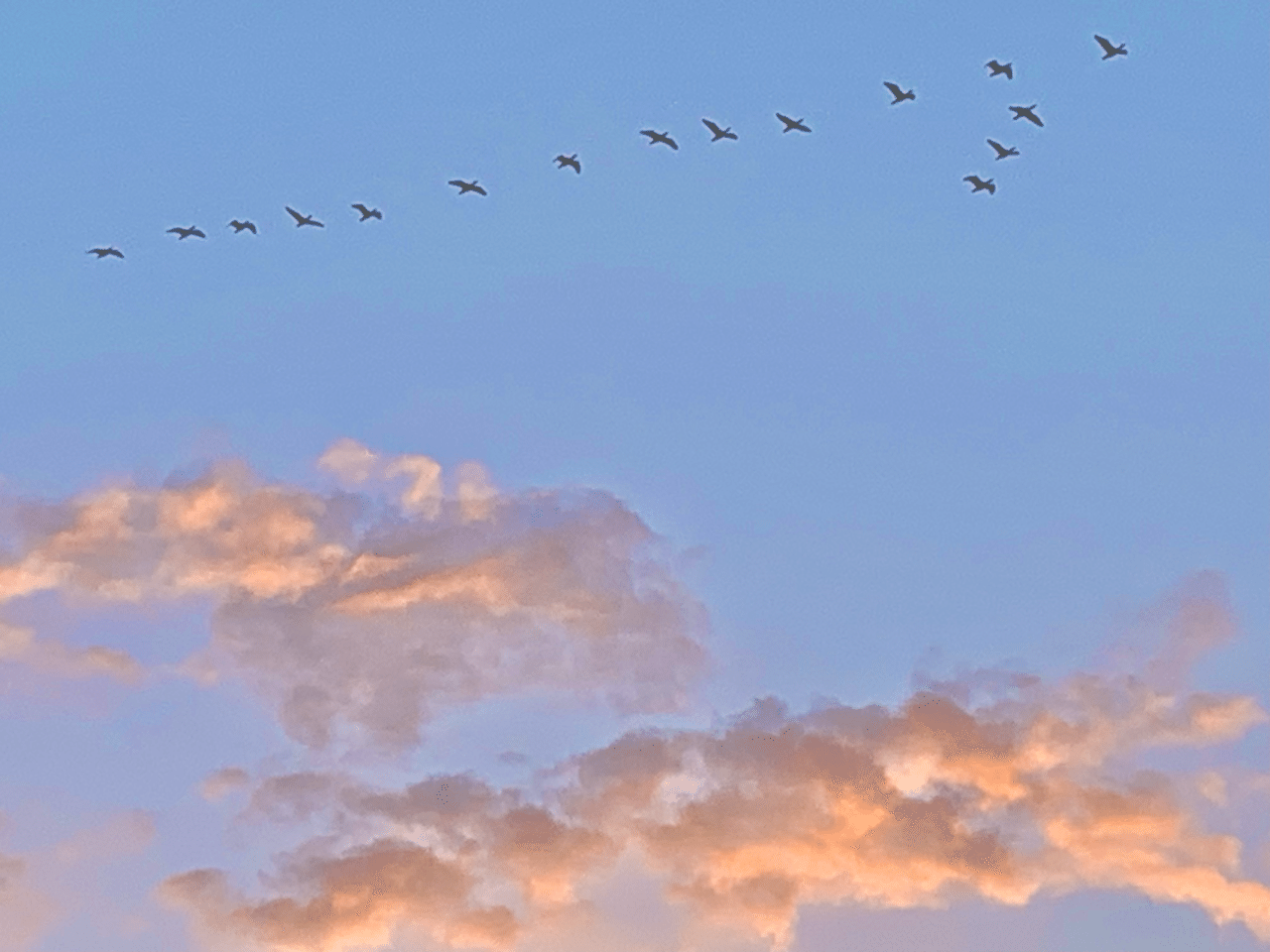 自分update ｜micay_lala