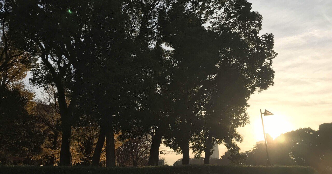 2023年を振り返って｜GORO-TATSUTA シンガーソングライター