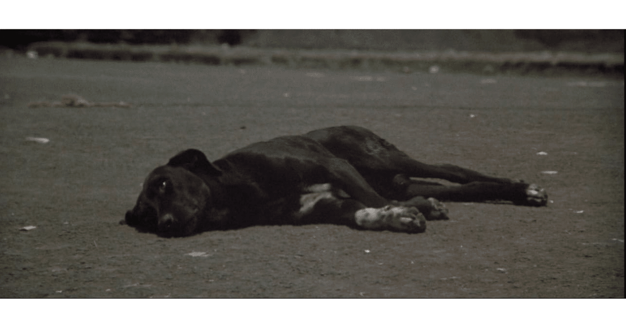 【試訳】J・バートによるR ・アルトマン『ロング・グッドバイ』(1973)論（Jonathan Burt, Animals in Film ...