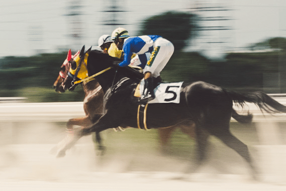 これまで共に歩んできた相棒達｜はやっしー/Hayashida Kohei