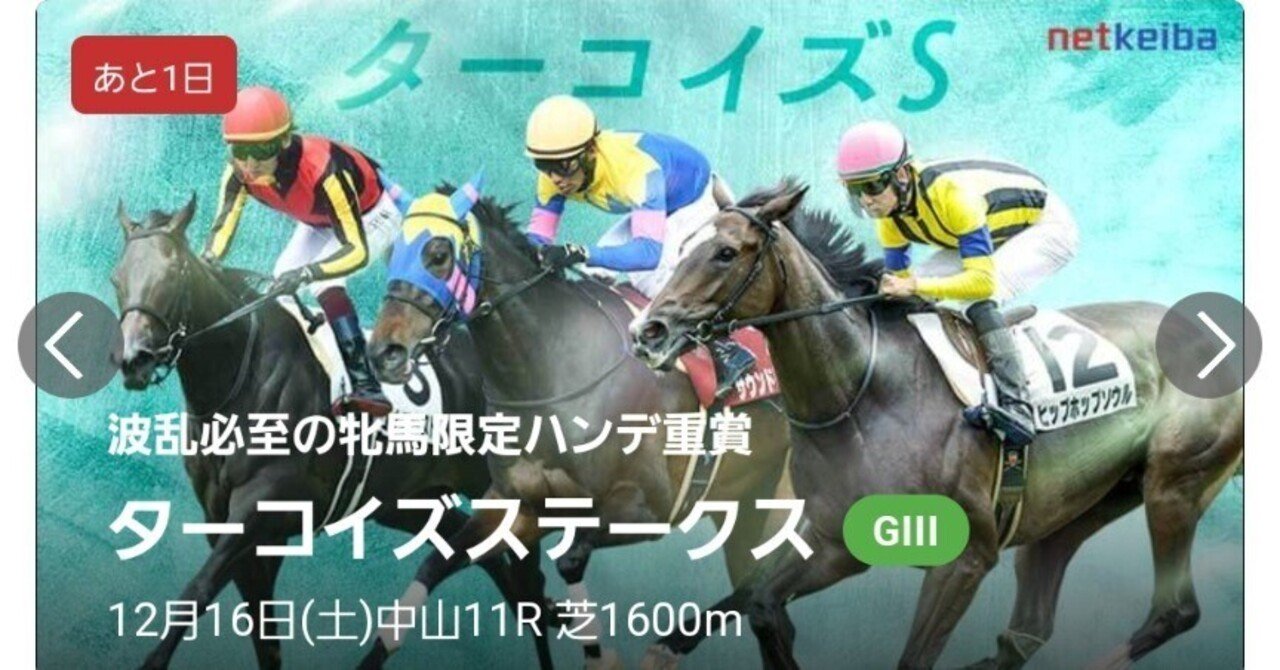1216土🔥中央競馬勝負r🔥【重賞勝負r 中山11r ターコイズs】【魂の勝負r 後程記載】【阪神4r 障害r】【勝負r 中山4r】合計