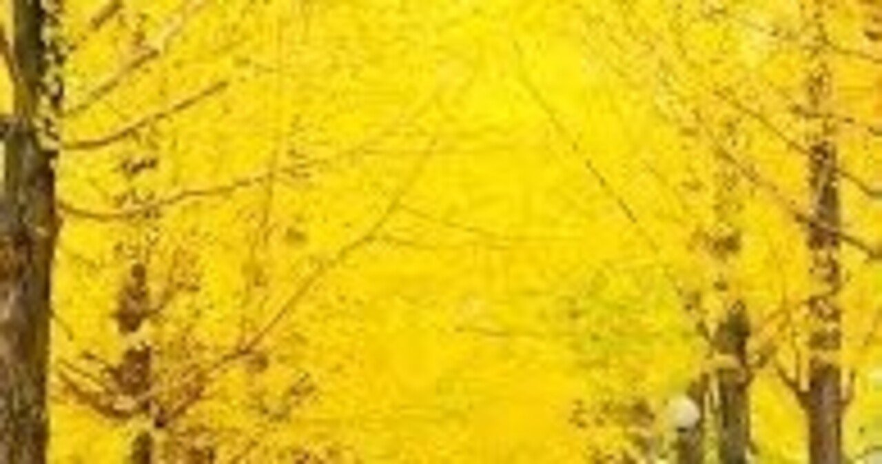 佐世保1R10:45🔥🔥🔥｜#ゴロリ #競輪予想 #万車 #開運 #金運