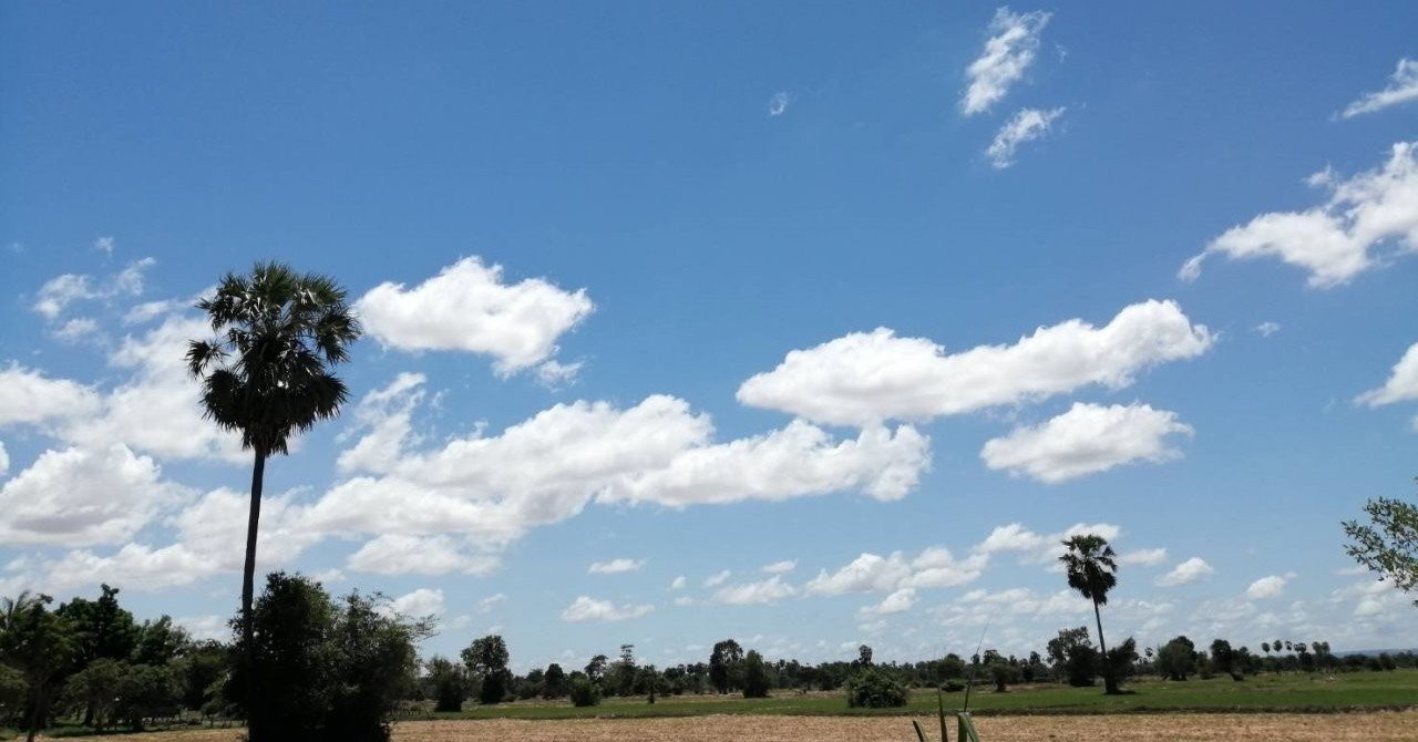 インターン生の声【第2稿】（ヒオキ）｜AGRIBUDDY🇰🇭🇮🇳カンボジア発のフィンテックベンチャー｜note