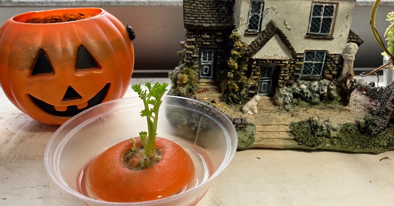 ふと・・・思う｜poporin