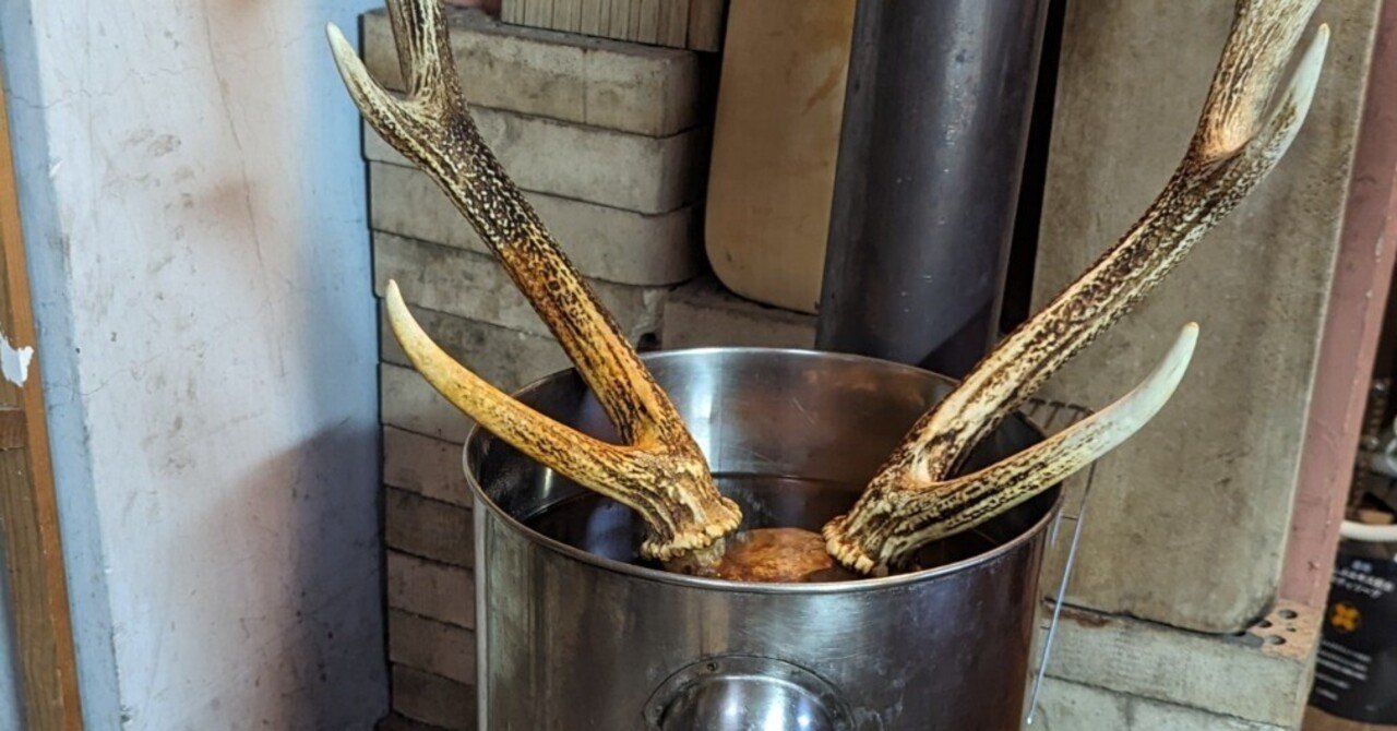 ホネ活｜Dala Space ひろこ