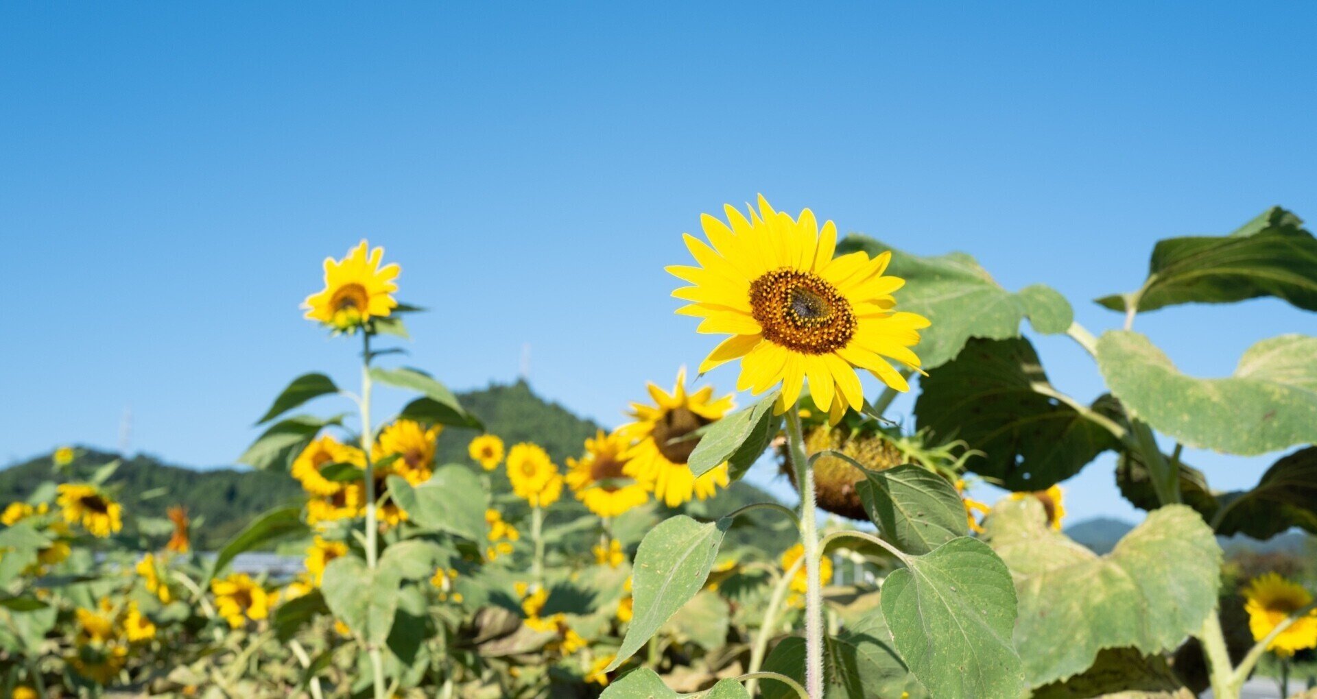 OH!KUMA写真倶楽部｜note