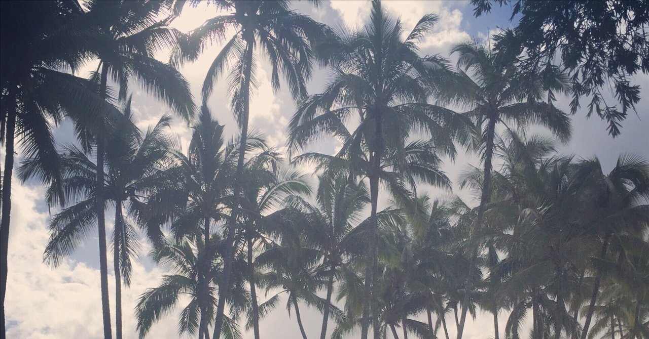 Mauna Laniに触れ、人生が変わる｜三嶋幸子（SACHIKO MISHIMA）