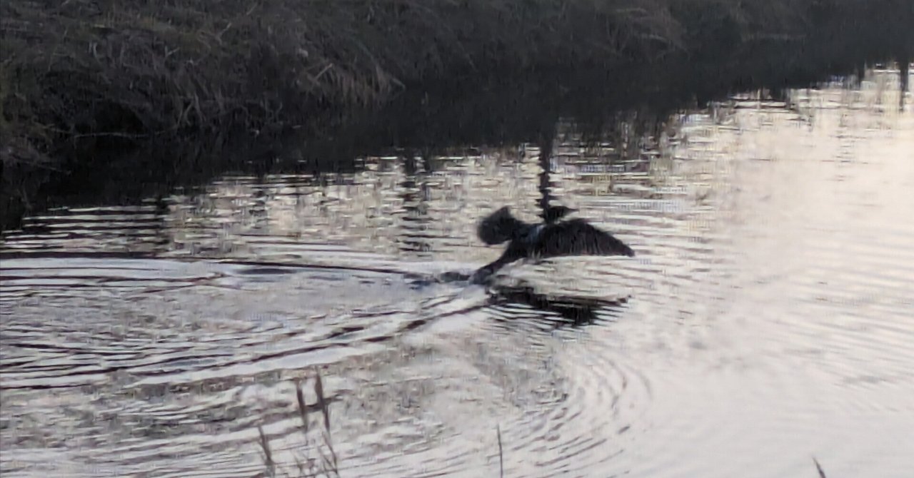 2巻123番〜作者 三方沙弥｜ichiro70