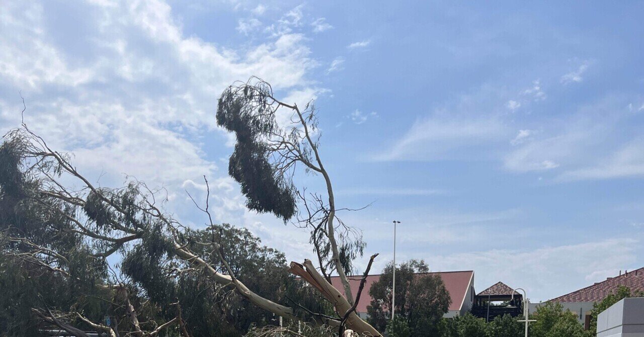 271日目🇦🇺｜Hinata