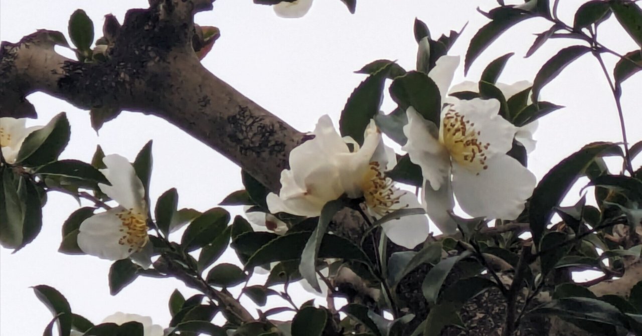 2巻124番〜作者 園生羽女｜ichiro70