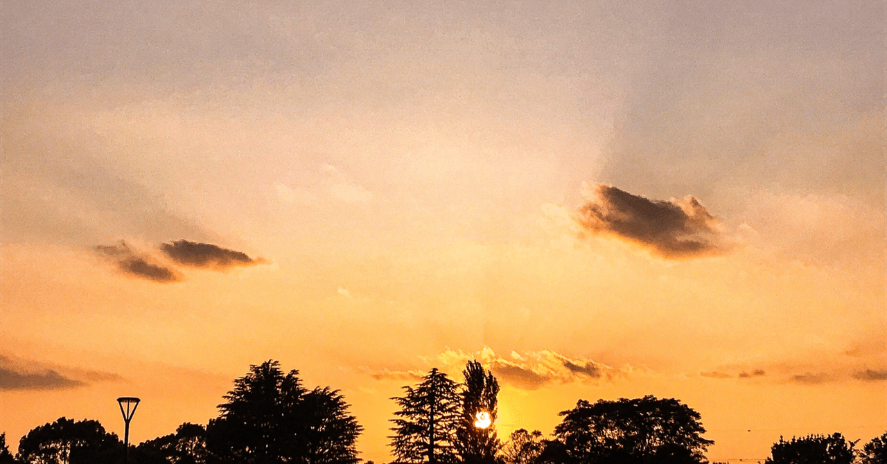 ダブルバインドの例｜長尾彰／Akira Nagao