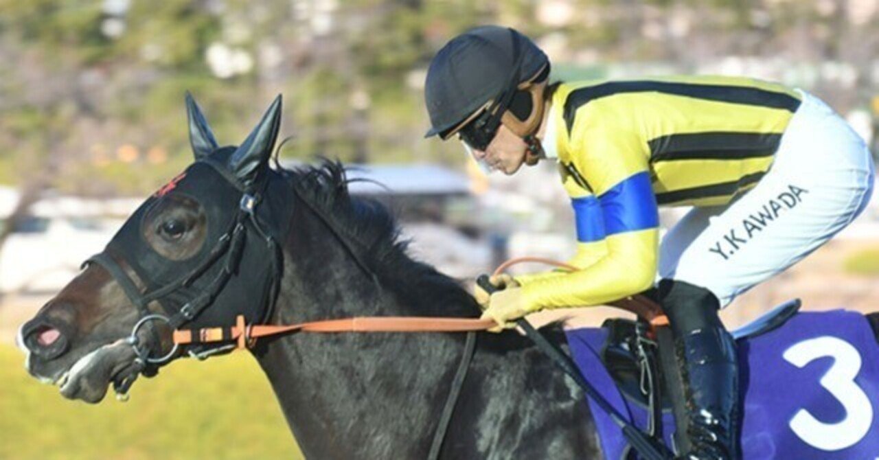 2023/12/17（日）競馬予想結果｜JRA・競馬予想