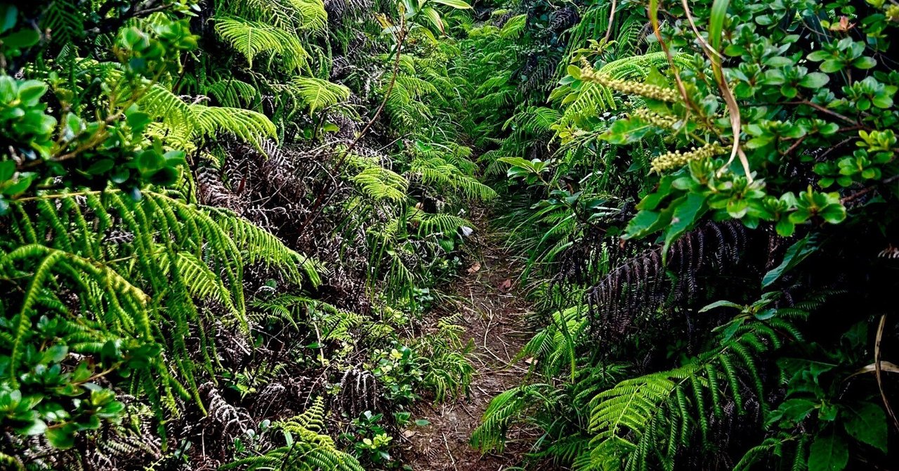 Tabi. #1979 009-8｜土星と偏頭痛