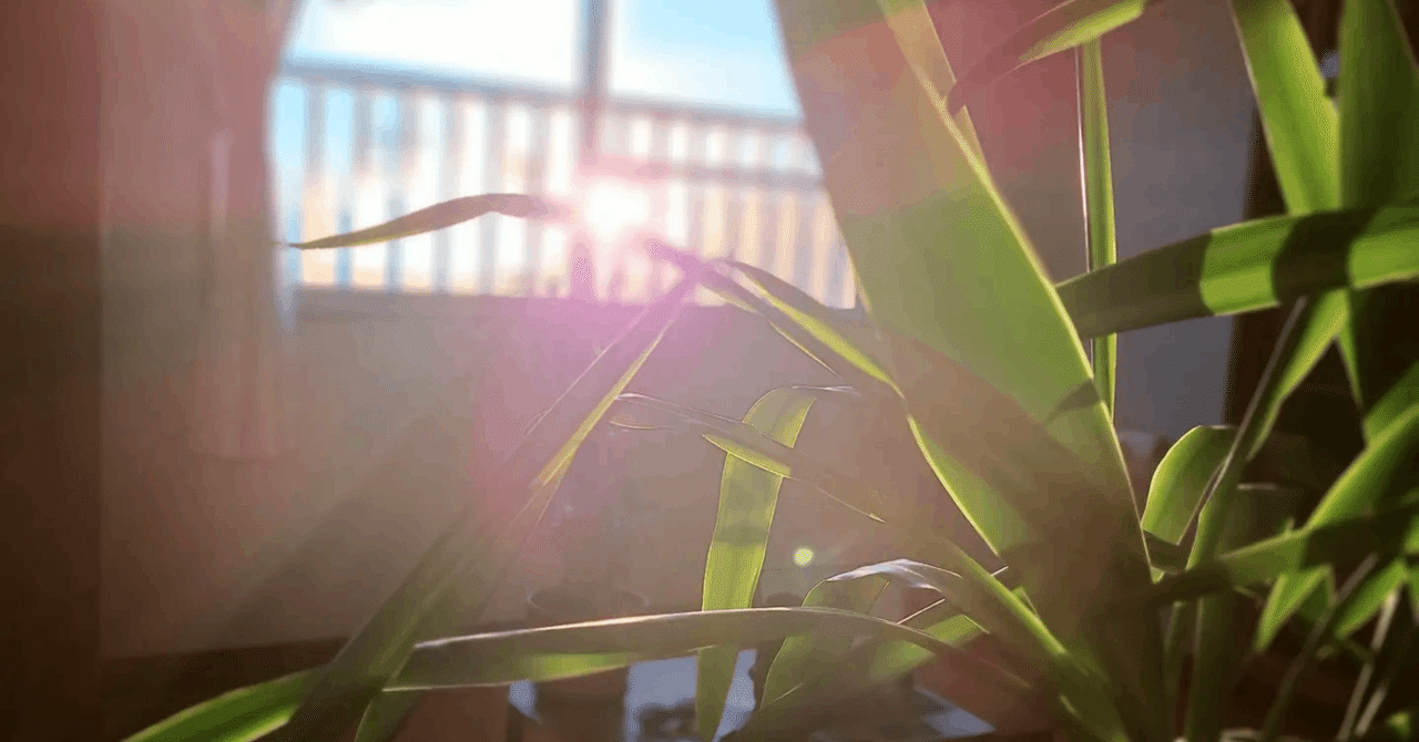 良運を得るには？？｜Sadananda Tomohiro