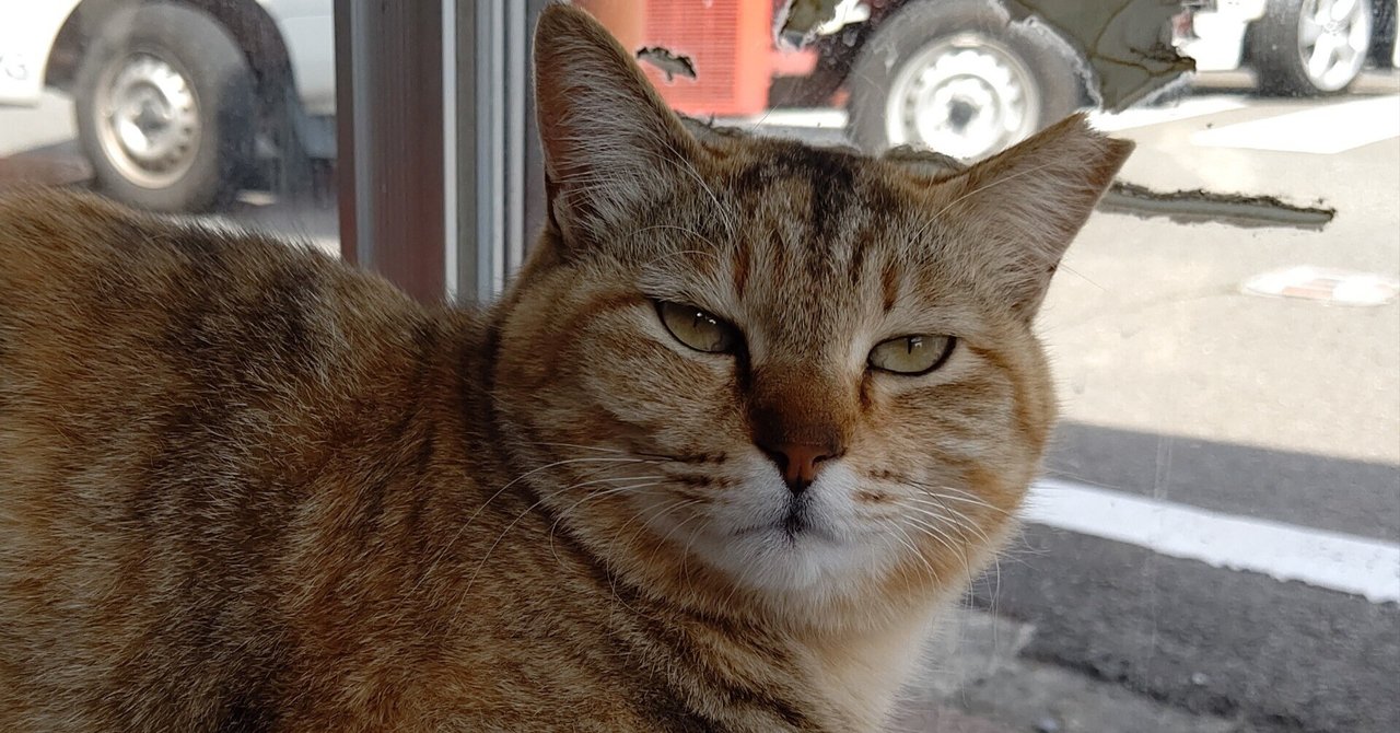 途中経過だよ短いよningen-un-do13巻｜紀伊ノ国竜