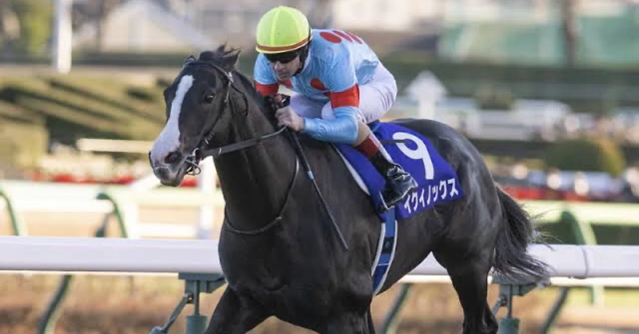 有馬記念の特徴や傾向を抑えよう｜dabio