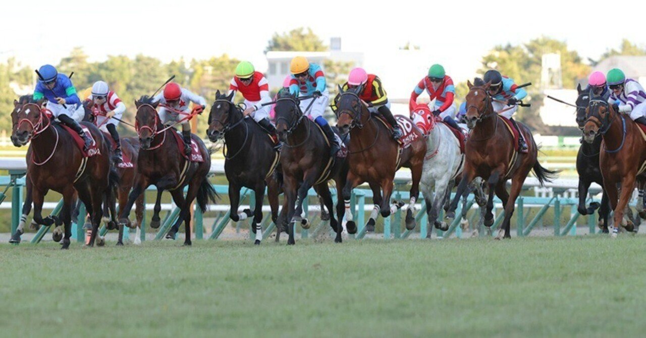 【2023 阪神カップ（G2）】徹底的に攻略データ篇｜Haya