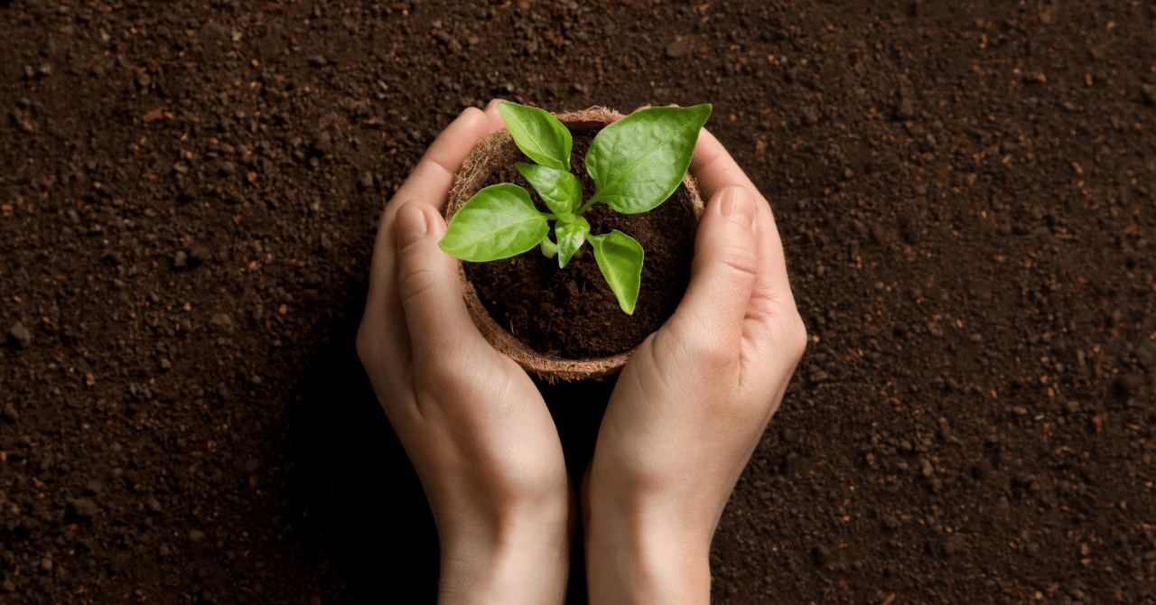 20年の会社勤めで何を学んだか。｜武田邦敬｜Kunihiro TAKEDA