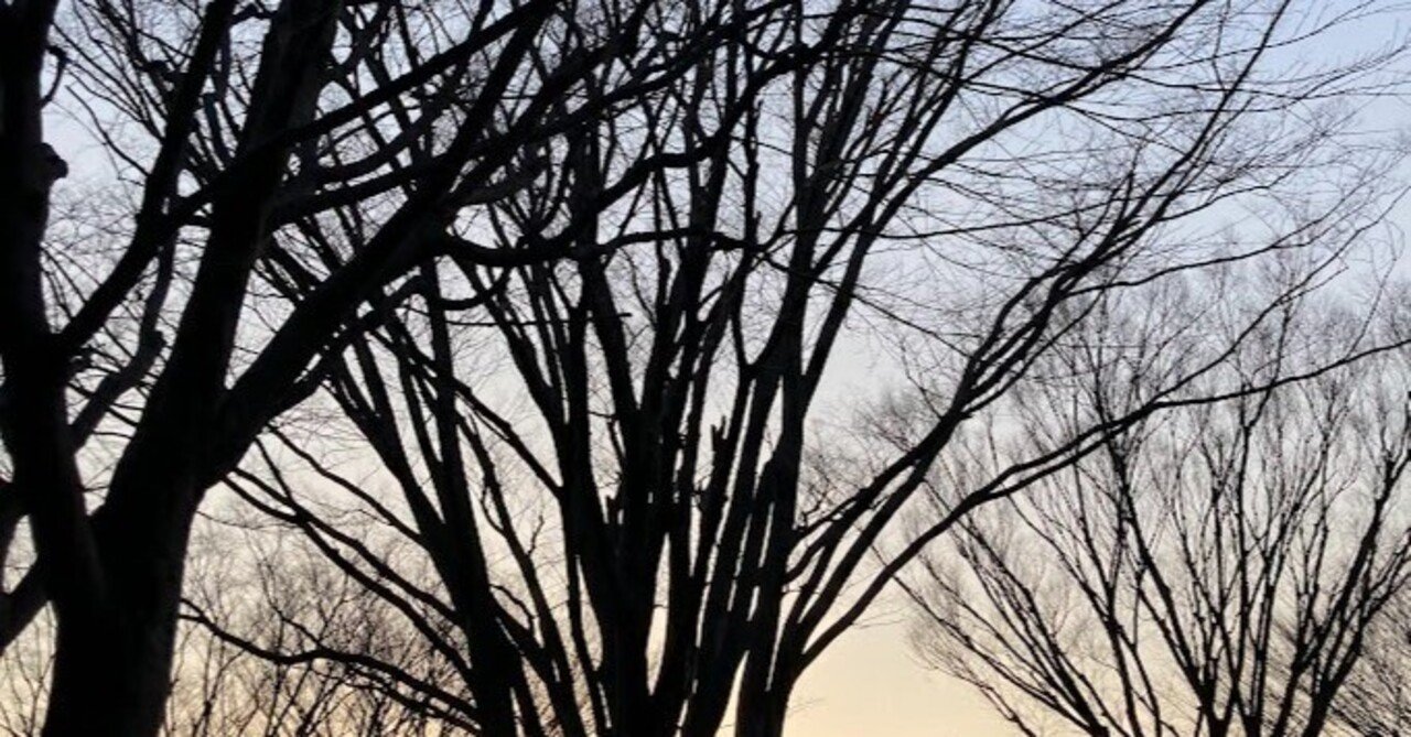 呼び起こされる風景 2023年12月【4】 ｜あぎる/agiru