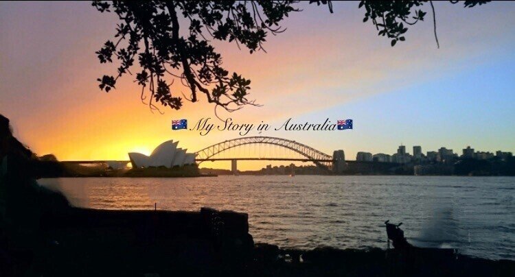 Summer-Branch*Okinawa｜note