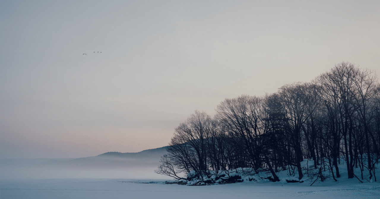 12/21の妄想｜SHUN