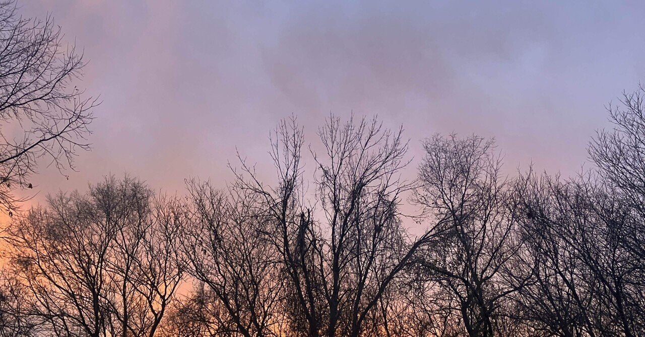 Life is not easy｜Yui Suzuki