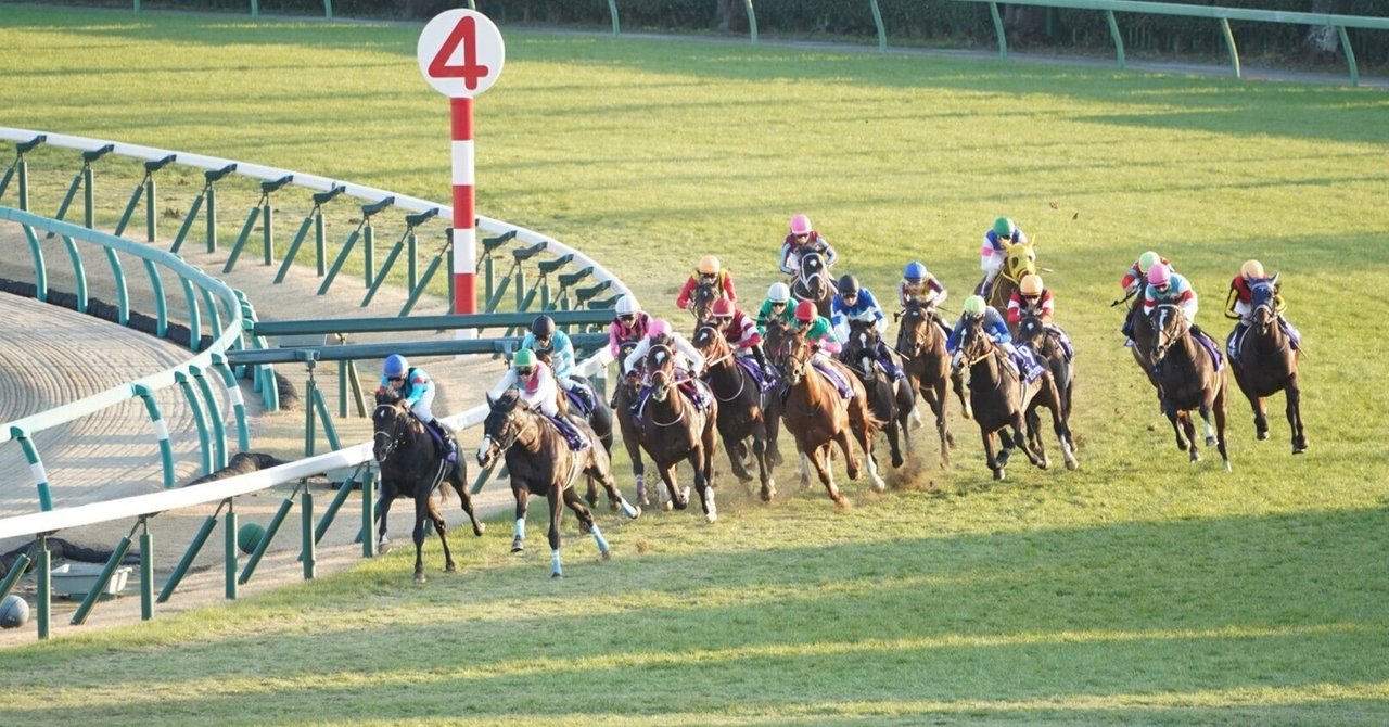 【2023 ホープフルS（G1）】徹底的に攻略データ篇｜Haya