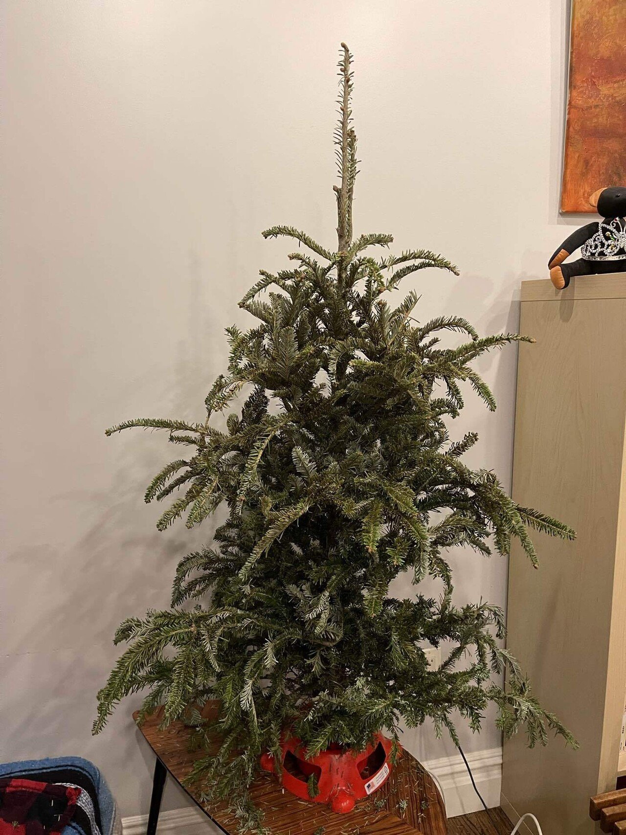 Good bye Christmas Tree!｜SENRI OE 大江千里