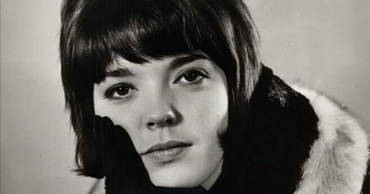 Songs for Today's Birthday 12/22 - Billie Davis｜apd19506070