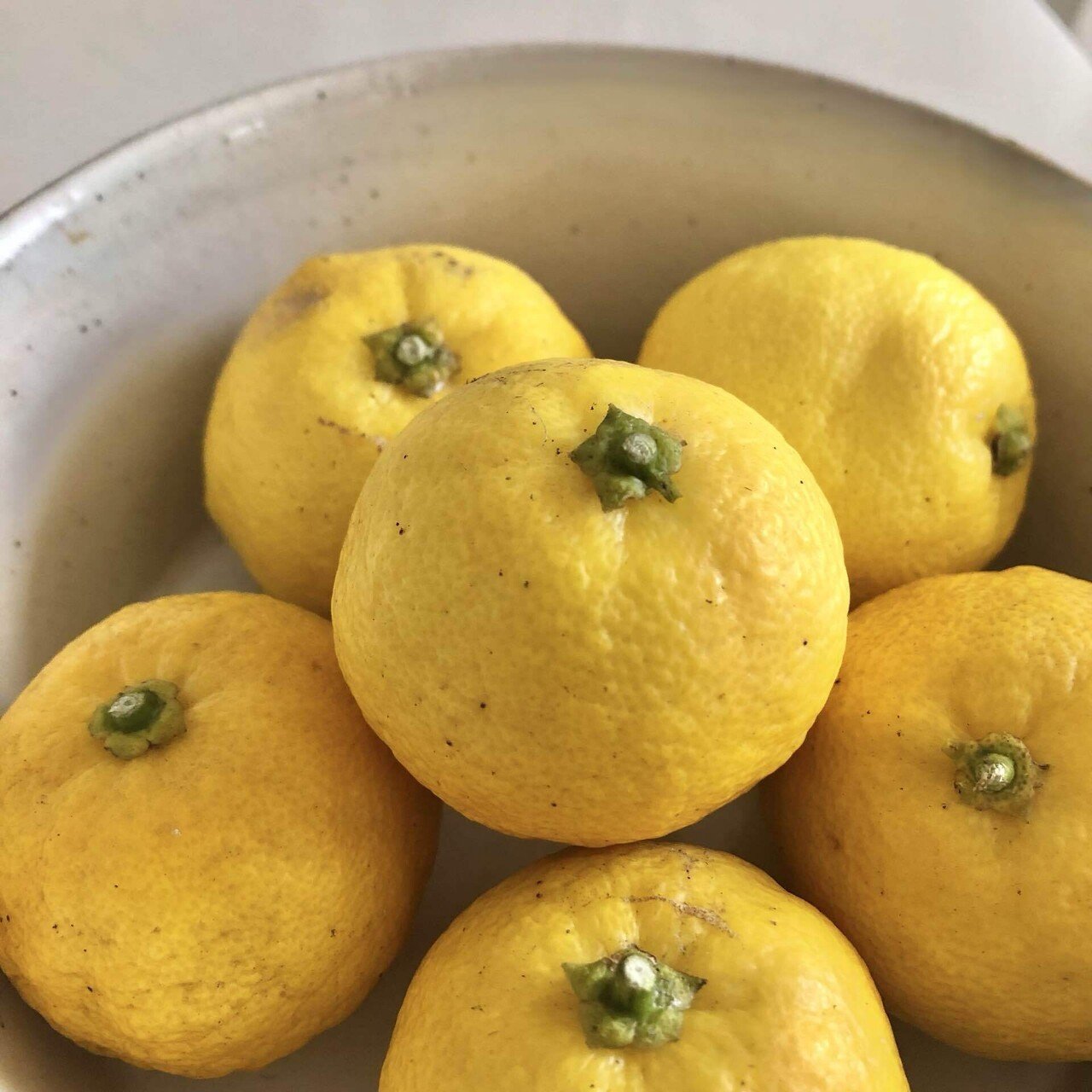 ゆず｜Imatomi Aiko