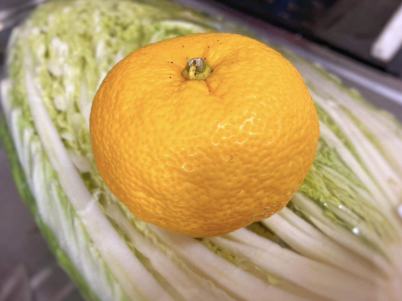 Yusuke Tatsumi｜note