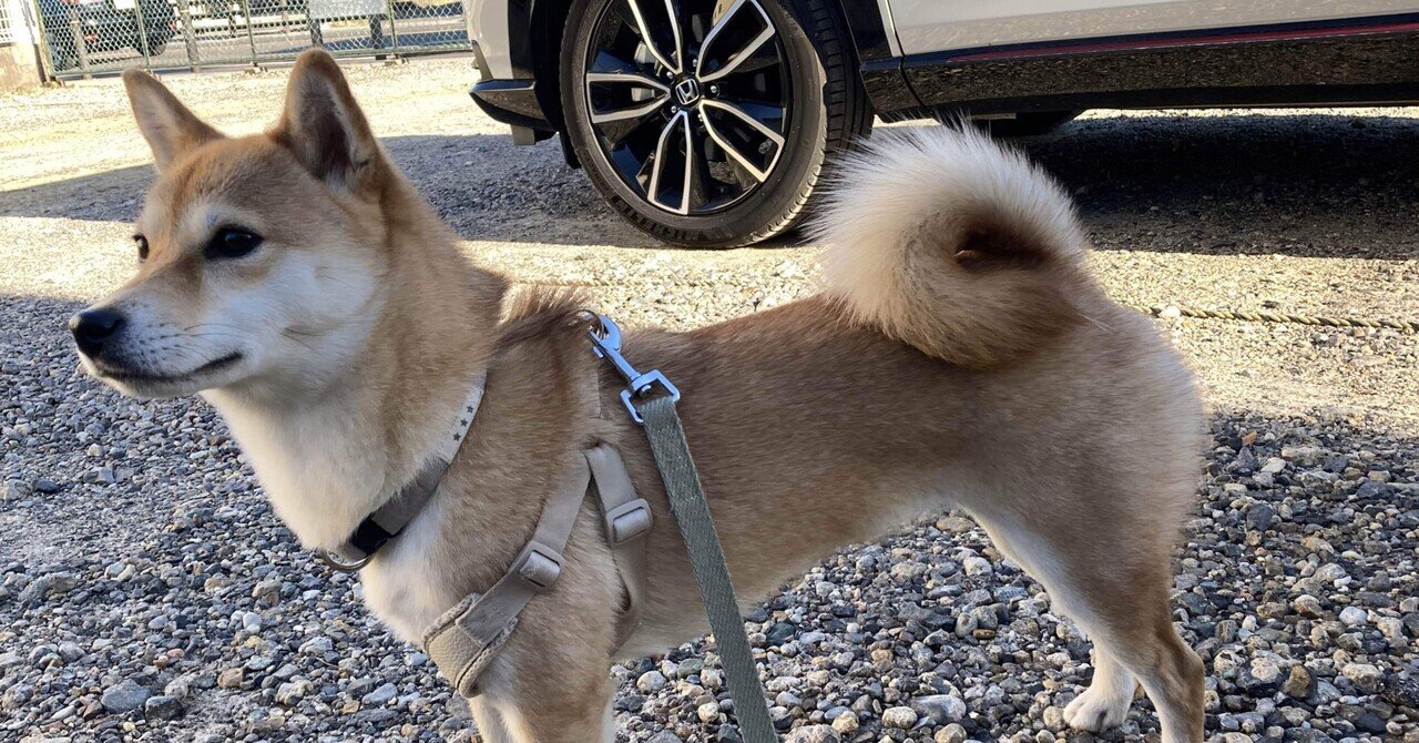 2023年の振り返り。｜723nk