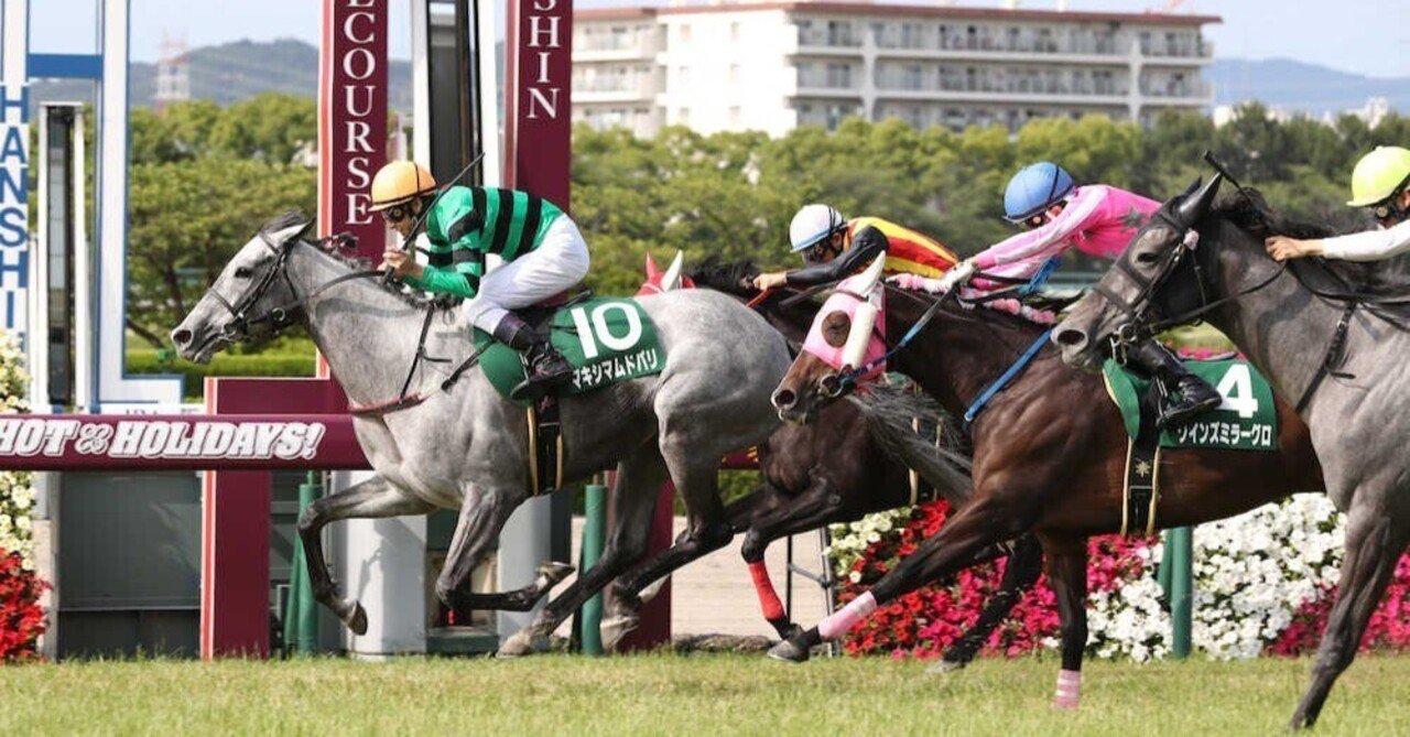 【🔥勝負レース🔥🚀】【阪神3r】2歳未勝利💰【自信度s】|さやだま