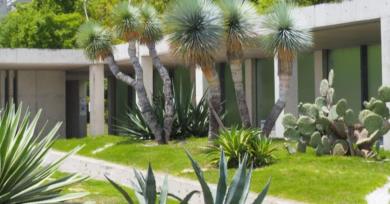 ドライガーデン事例7選①｜Tomoki Inoue