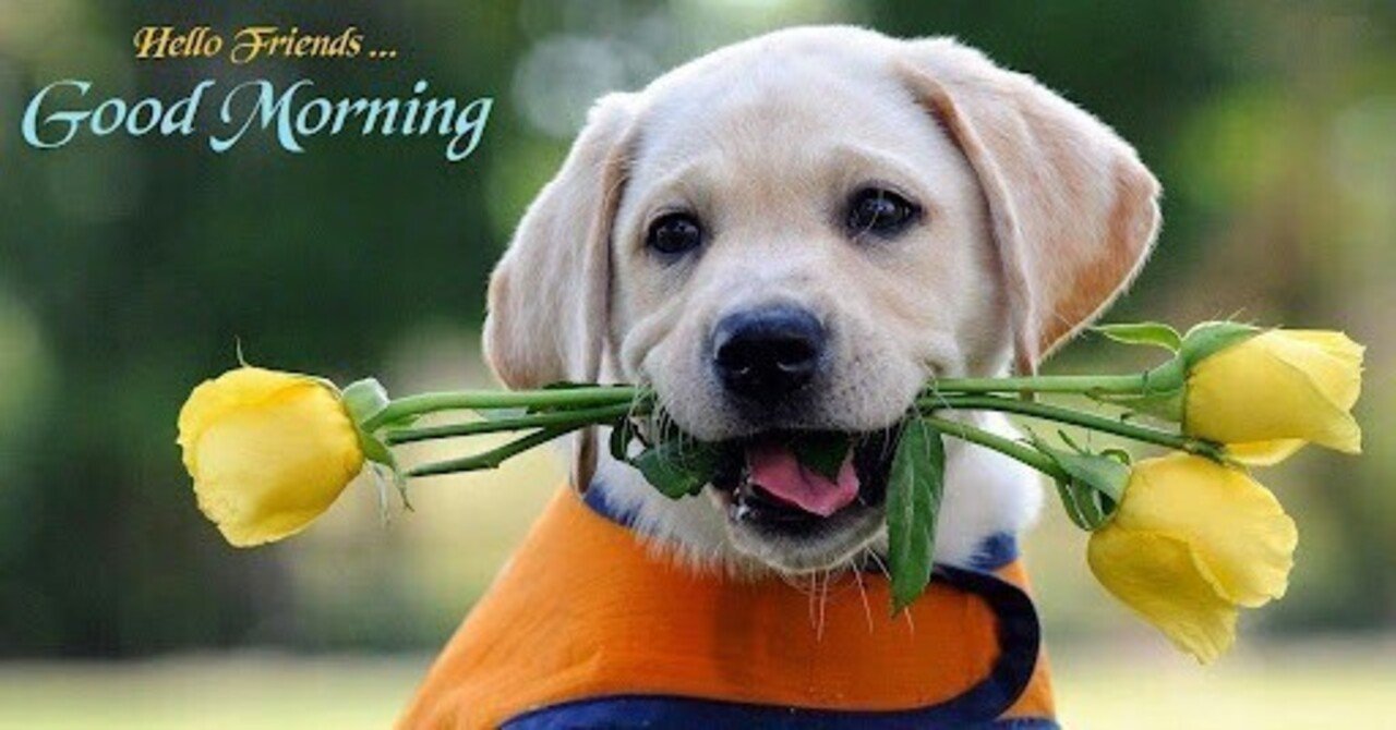 とてもかわいいですね（笑）｜Yoshiya Sato