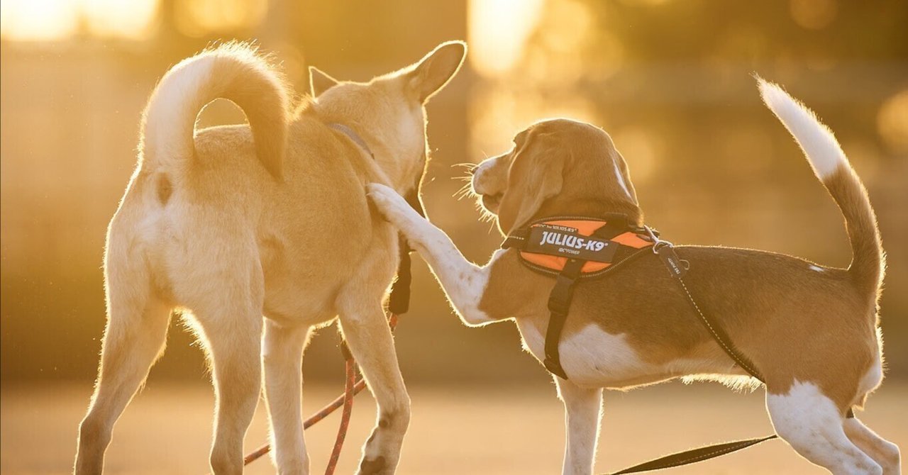 どうにも割り切れないなら散財で｜005 akkiy