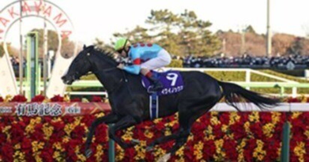12/24 中山11R G1 有馬記念｜めっし