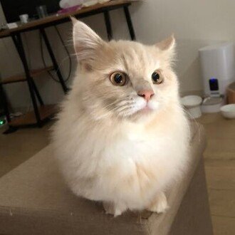 Takagi Yosuke｜note