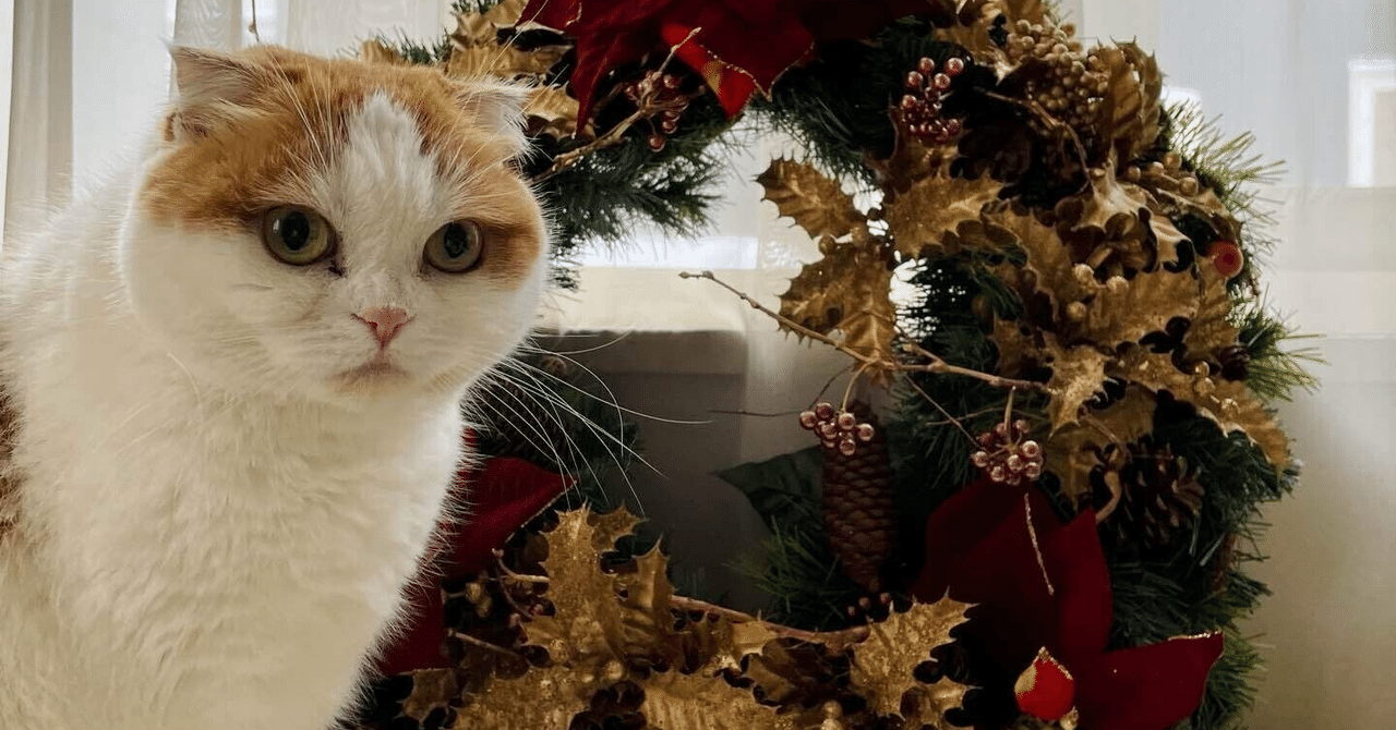 Web フロントエンドエンジニアのための Rust 製 Web フロントフレームワーク Yew 入門｜blue06_2022