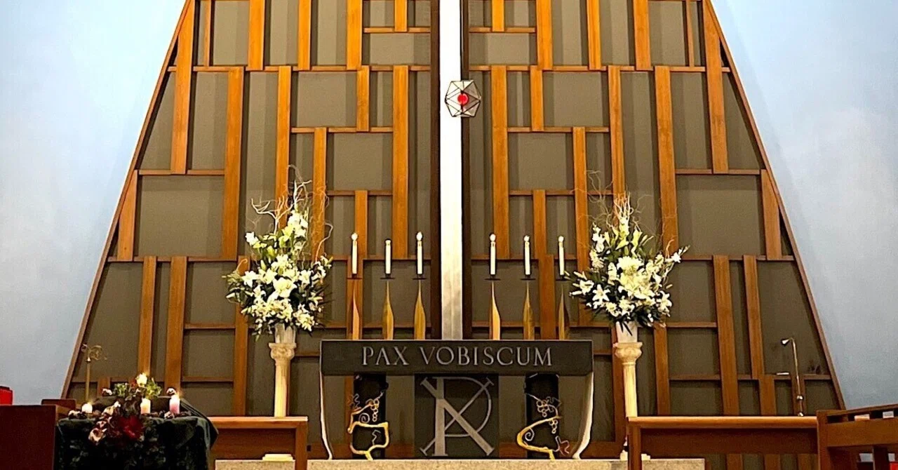 #105 PAX VOBISCUM 〜平和とともにありますよう〜｜ささきとおる🇳🇱50歳からの海外博士挑戦